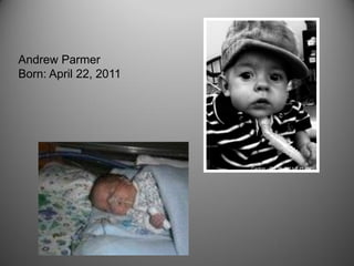 Final senior project | PPT