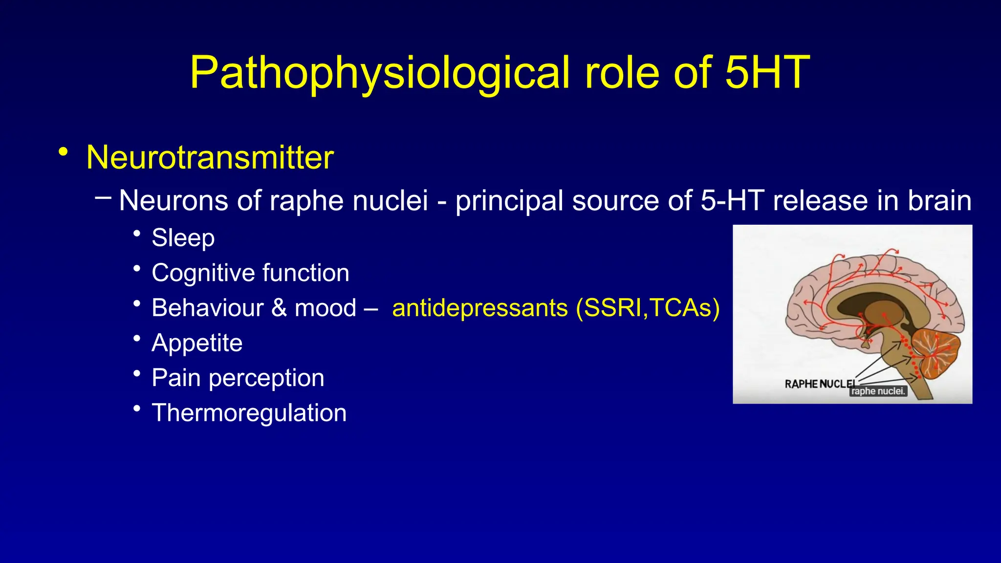 Serotonin,serotoninergic receptors and Drugs acting on serotonin ...