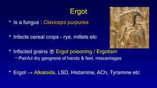 Serotonin,serotoninergic receptors and Drugs acting on serotonin ...