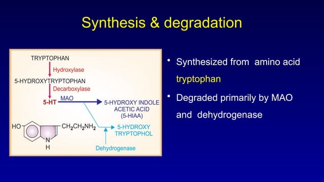 Serotonin,serotoninergic receptors and Drugs acting on serotonin ...