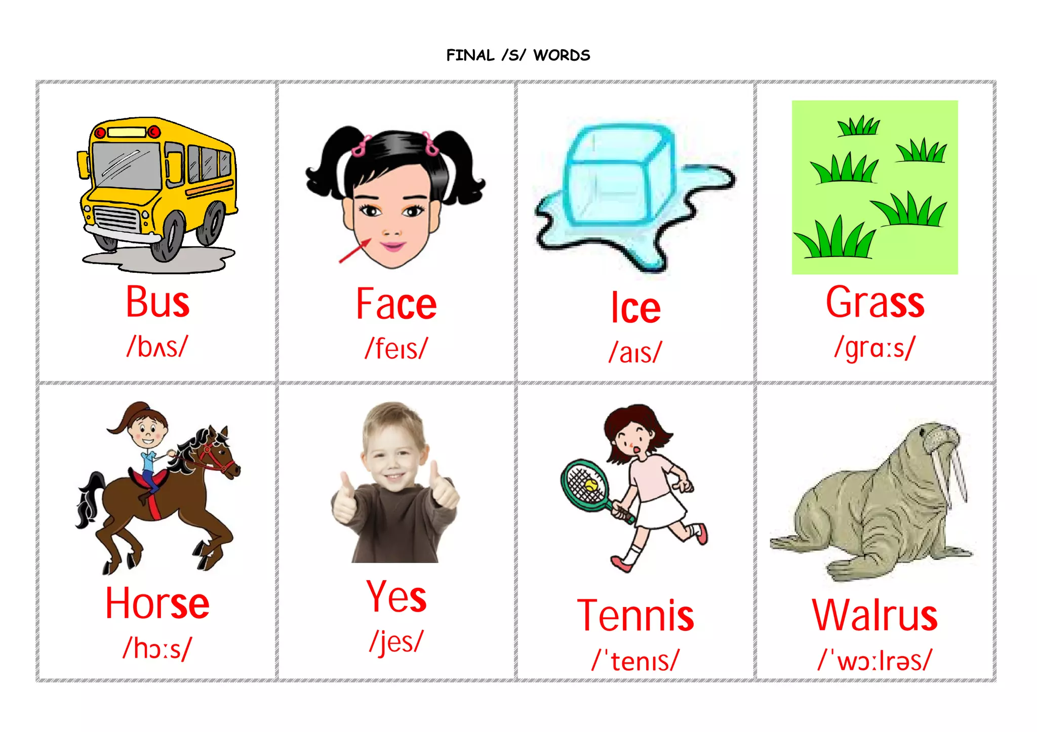 Final s flashcards | PDF