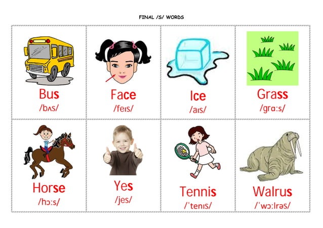 Final s flashcards | PPT