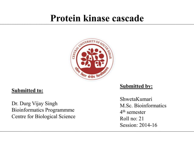 protein kinase cascade | PDF | Biological Sciences | Science