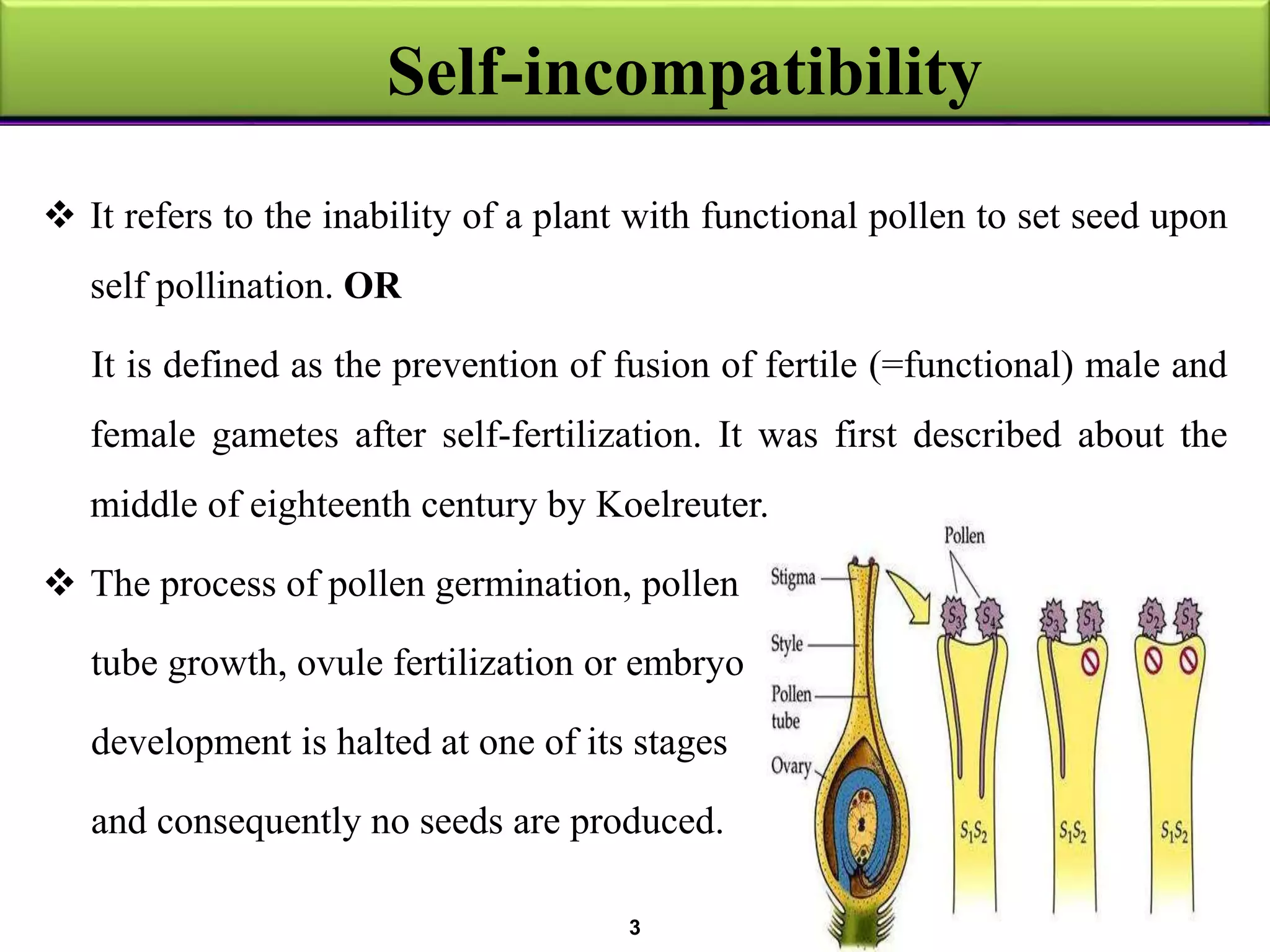 Self Incompatibility and hybrid seed production in cole crops | PPT
