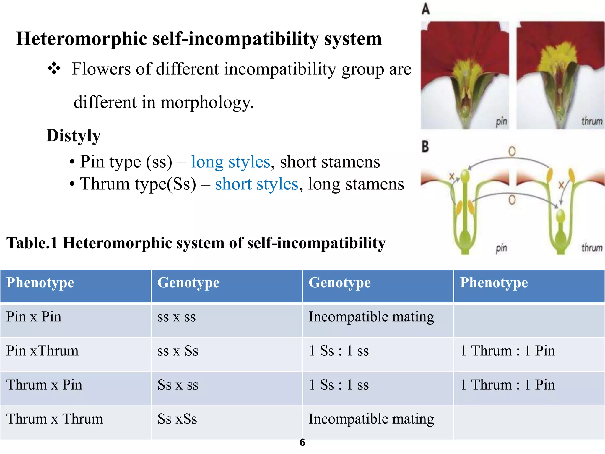 Self Incompatibility and hybrid seed production in cole crops | PPT
