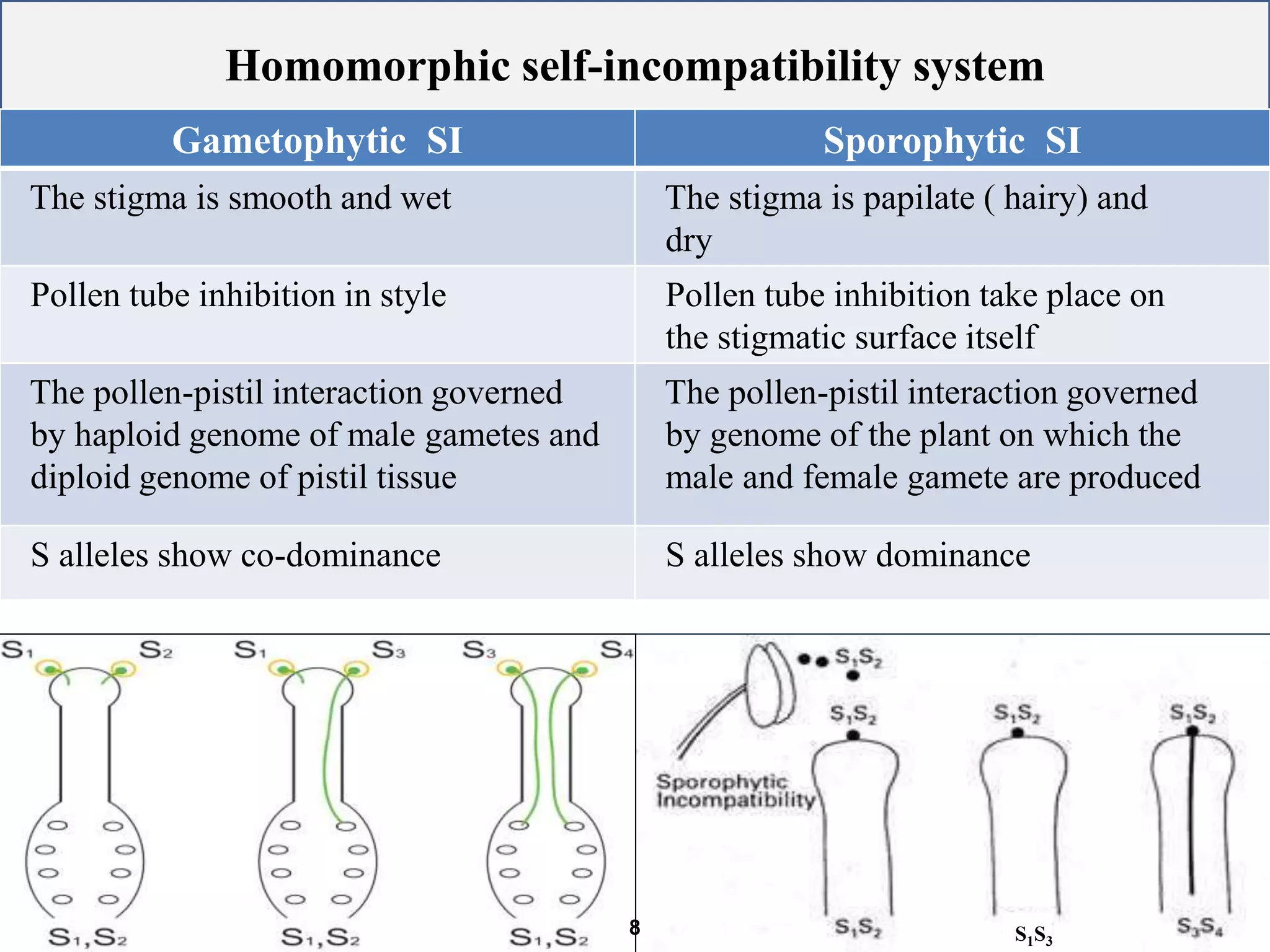 Self Incompatibility and hybrid seed production in cole crops | PPT