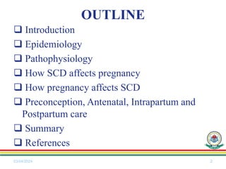 THE SICKLE CELL DISEASE IN PREGNANCY.pptx