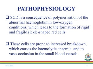 THE SICKLE CELL DISEASE IN PREGNANCY.pptx