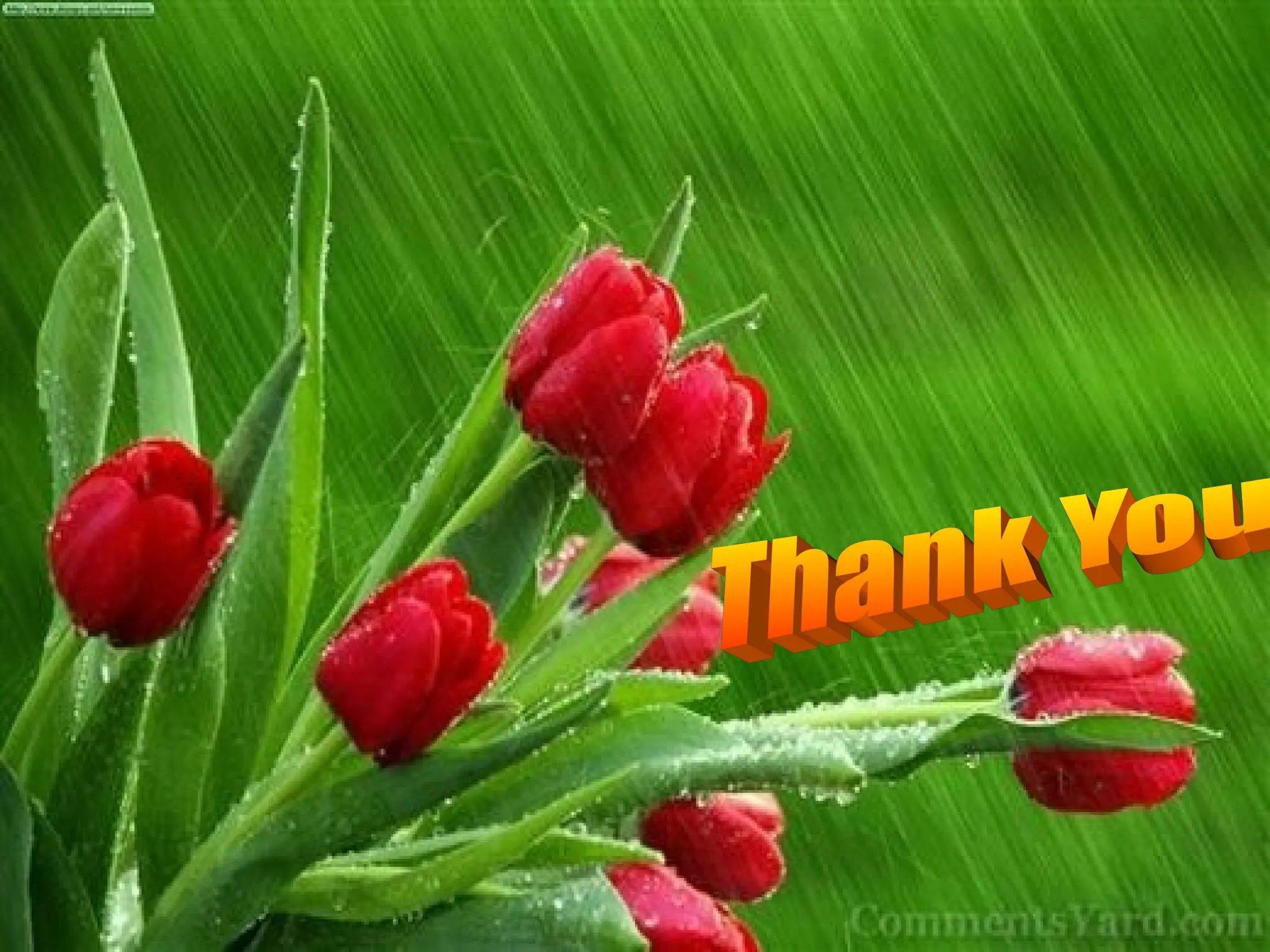 finalsiminar07102015-230127162038-19d60659.ppt