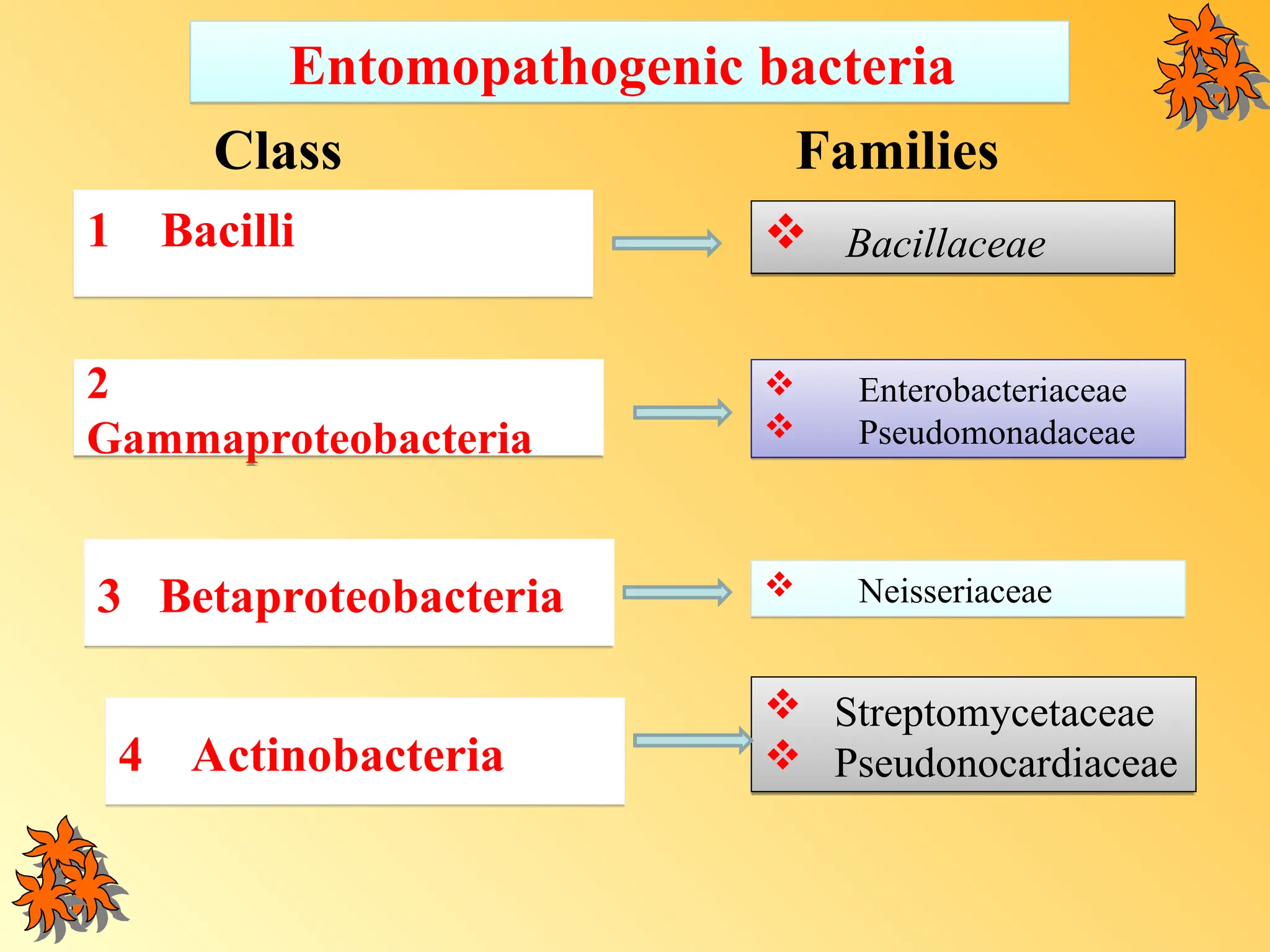 finalsiminar07102015-230127162038-19d60659.ppt
