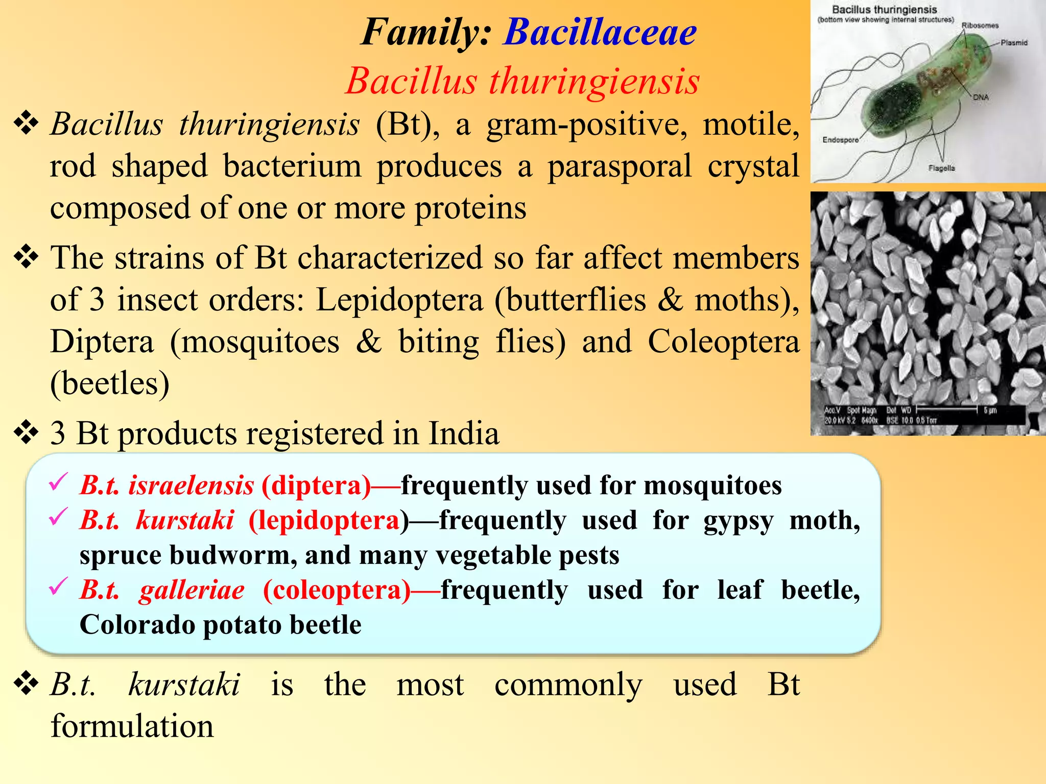 Role of Entomopethogenic bacteria and prospects | PPT