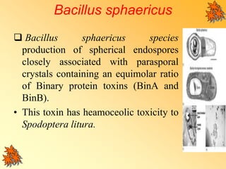 Role of Entomopethogenic bacteria and prospects | PPT