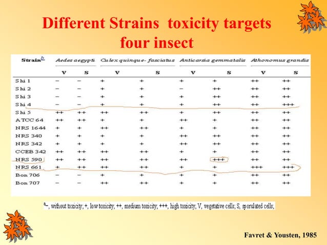 Role of Entomopethogenic bacteria and prospects | PPT | Biological ...