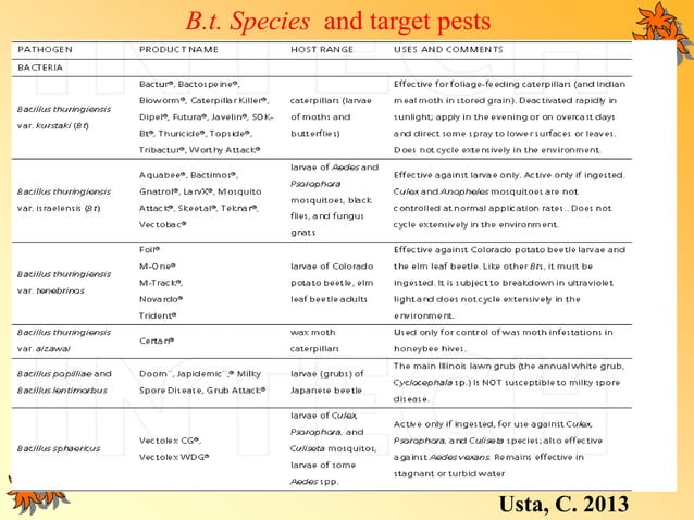 Role of Entomopethogenic bacteria and prospects | PPT | Biological ...