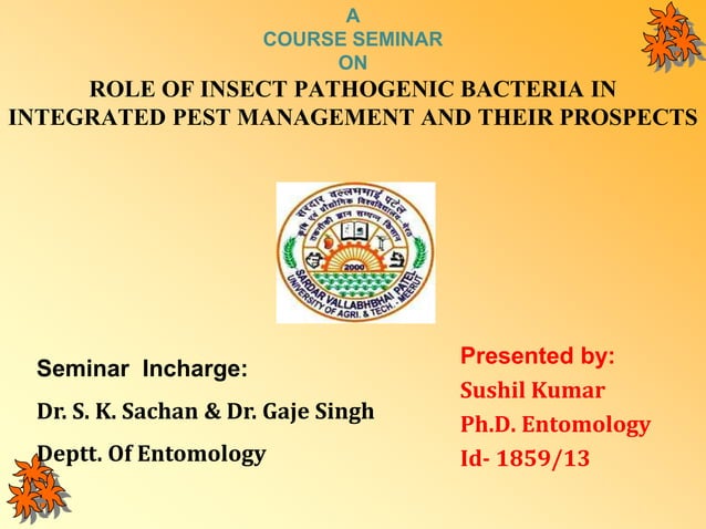 Role of Entomopethogenic bacteria and prospects | PPT | Biological ...