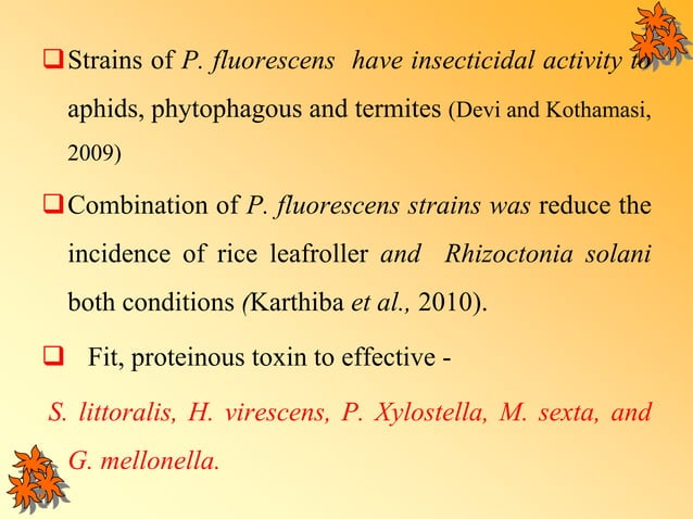 Role of Entomopethogenic bacteria and prospects | PPT | Biological ...