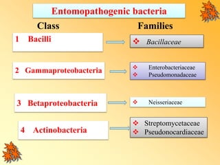 Role of Entomopethogenic bacteria and prospects | PPT