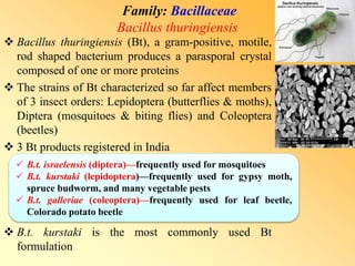 Role of Entomopethogenic bacteria and prospects | PPT