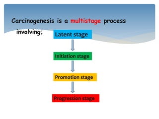 Carcinogenesis Stages