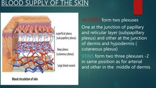 ANATOMY AND PHYSIOLOGY OF SKIN | PPTX
