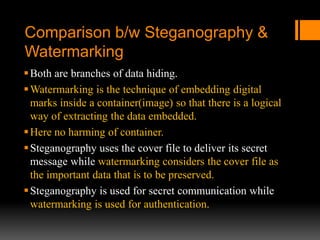 Skin tone based steganography | PPTX