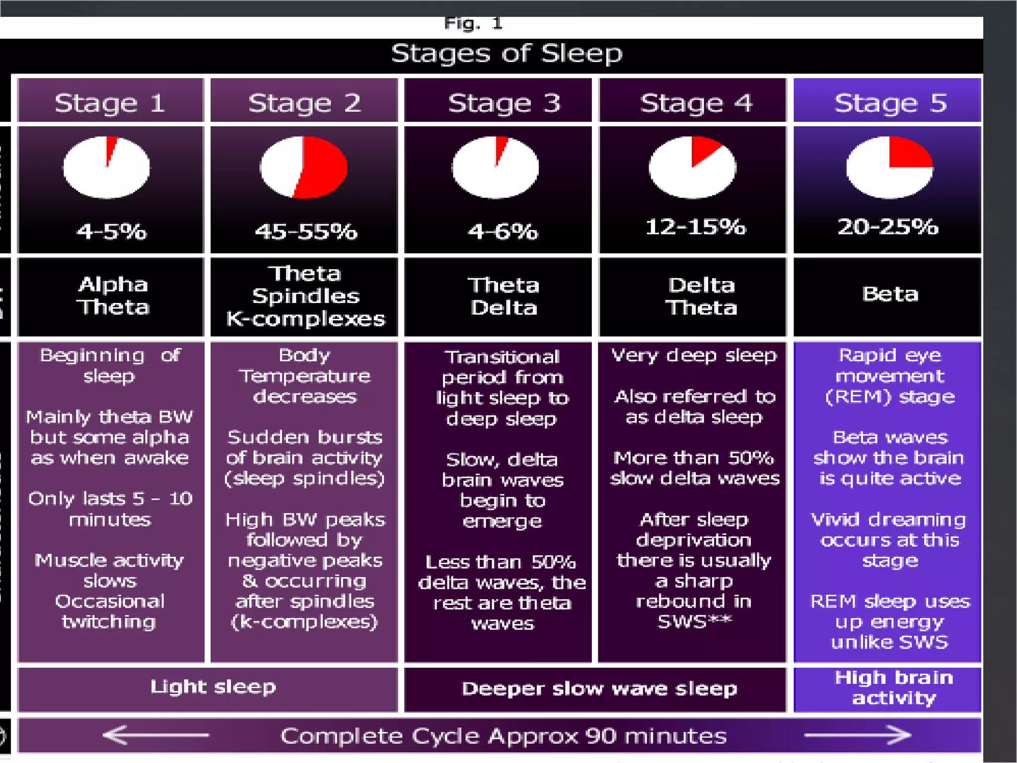 Final sleep power point | PPT