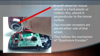 Everything to know about mouse. | PPT