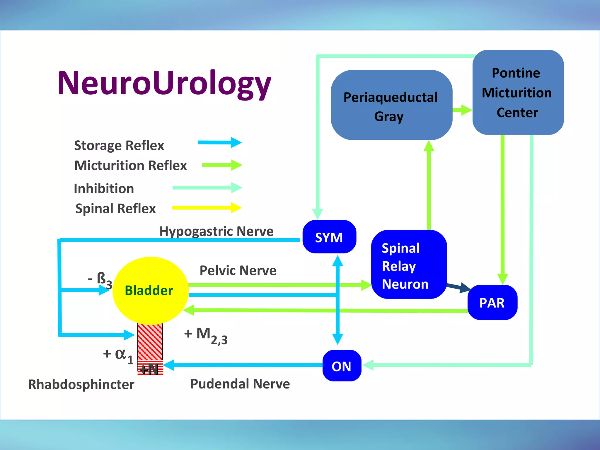 Final slide deck for dr iglesia | PPT