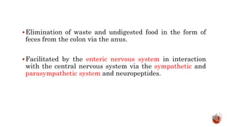 Final slide neurogenic bowel | PPTX