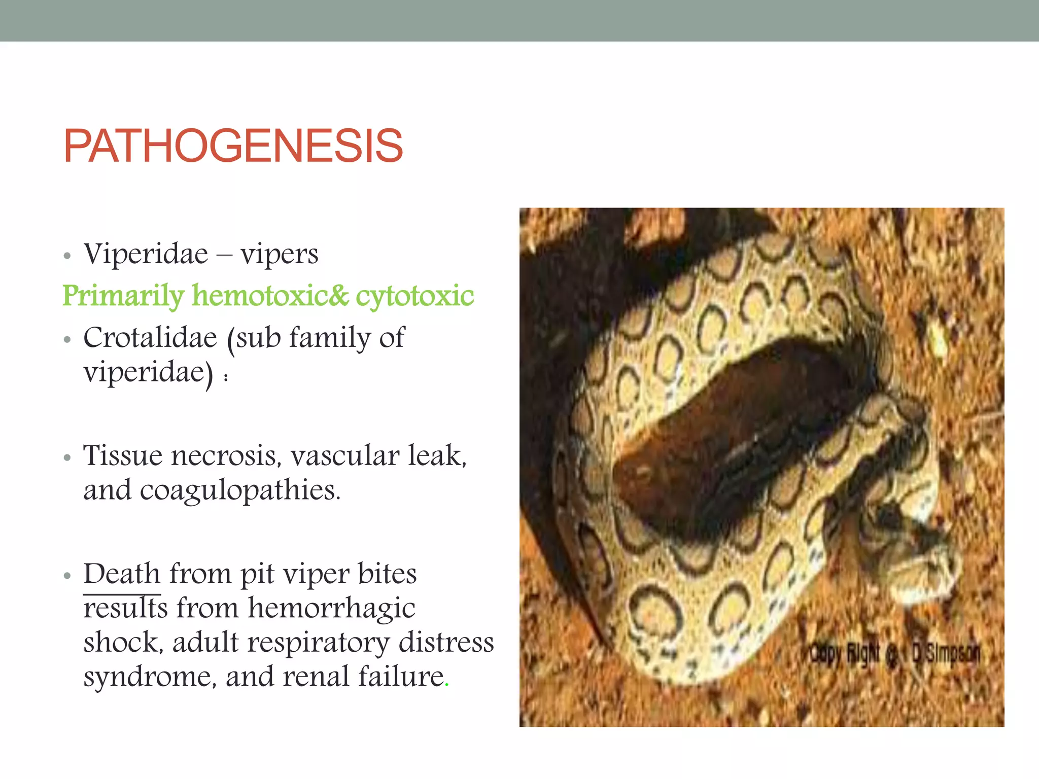 SNAKE BITE MANAGEMENT | PPTX