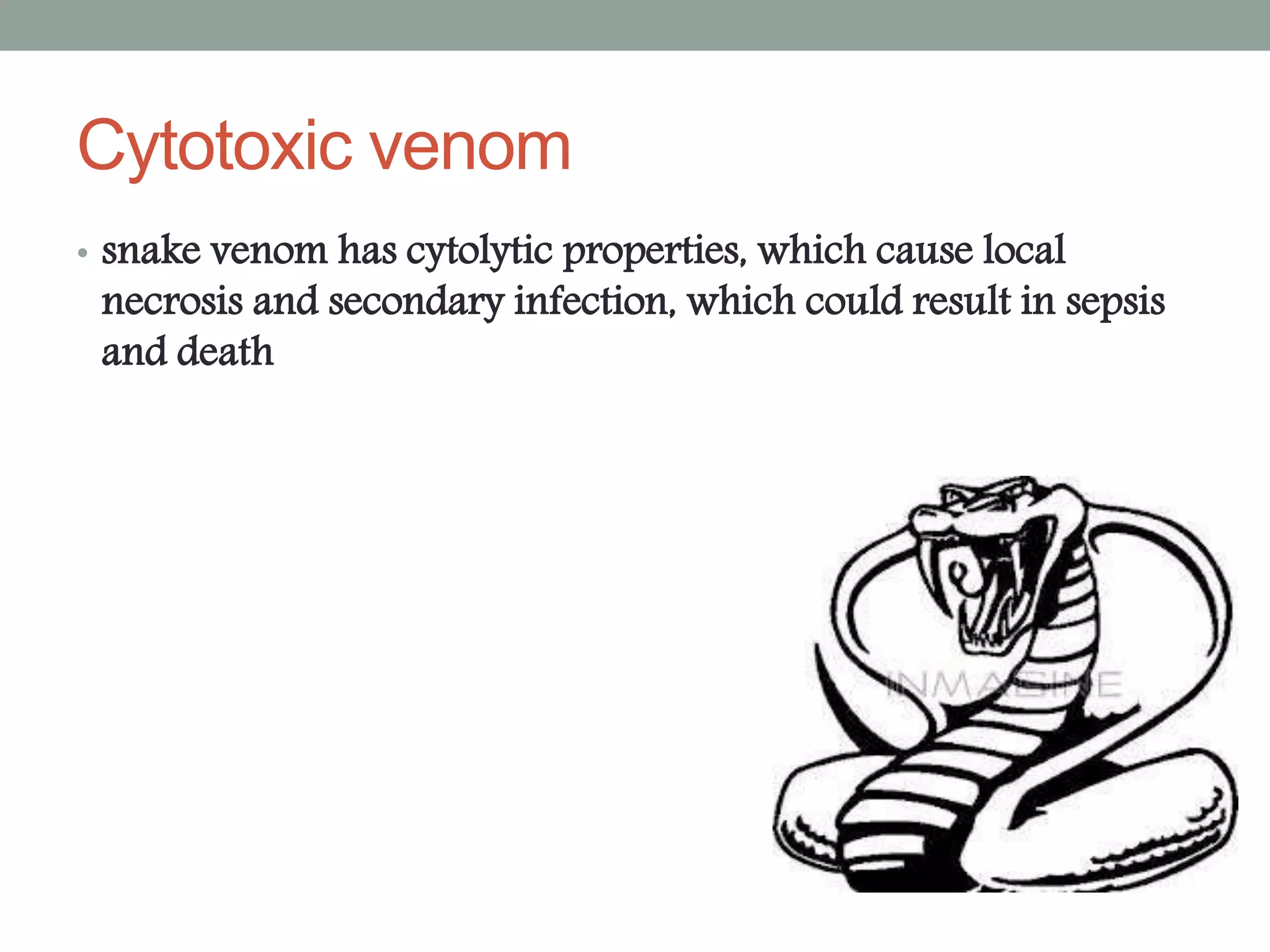 SNAKE BITE MANAGEMENT | PPTX