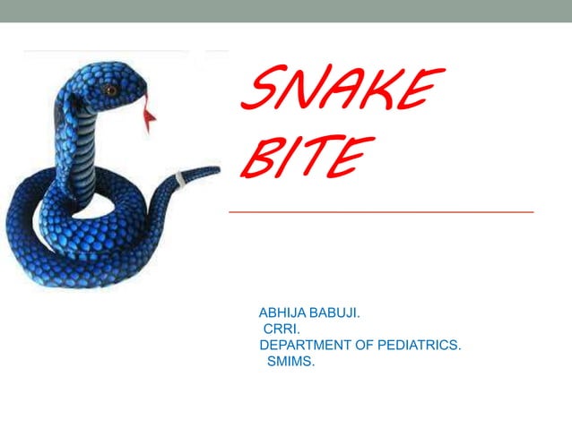 SNAKE BITE MANAGEMENT | PPTX | Infectious Diseases | Diseases and ...