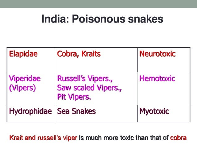 SNAKE BITE MANAGEMENT