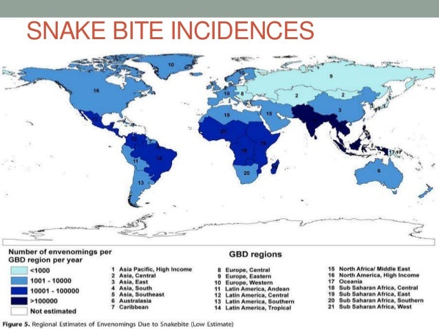 SNAKE BITE MANAGEMENT