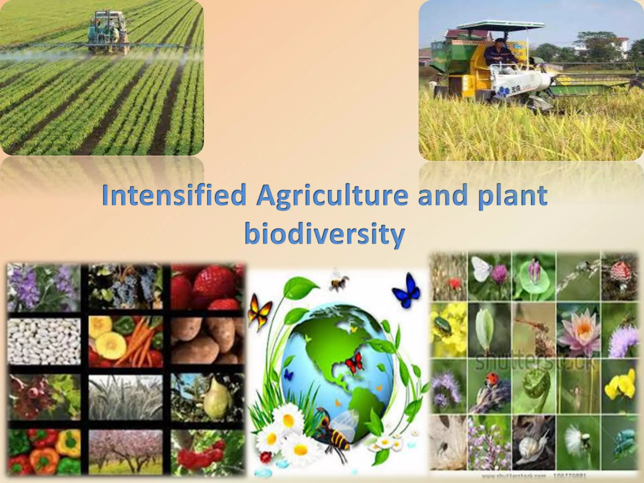 Intensified Agriculture and its Merits and Demerits | PPTX
