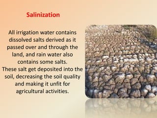 Intensified Agriculture and its Merits and Demerits | PPTX