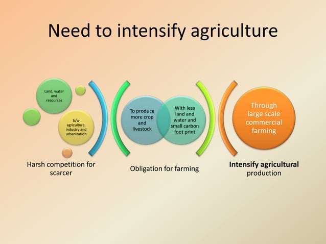 Intensified Agriculture and its Merits and Demerits | PPT