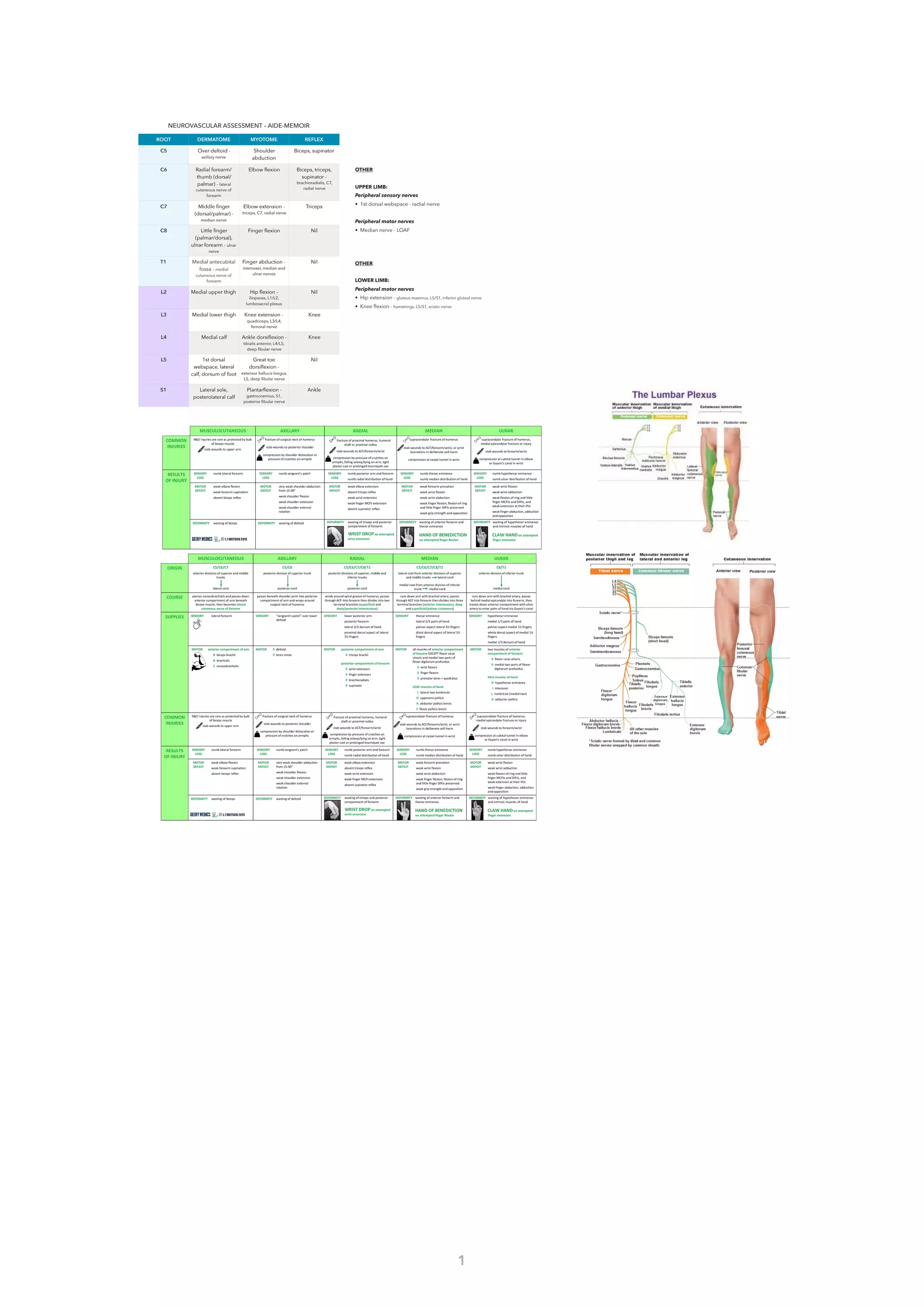 University of Manchester - Finals OSCE Revision Checklist | PDF