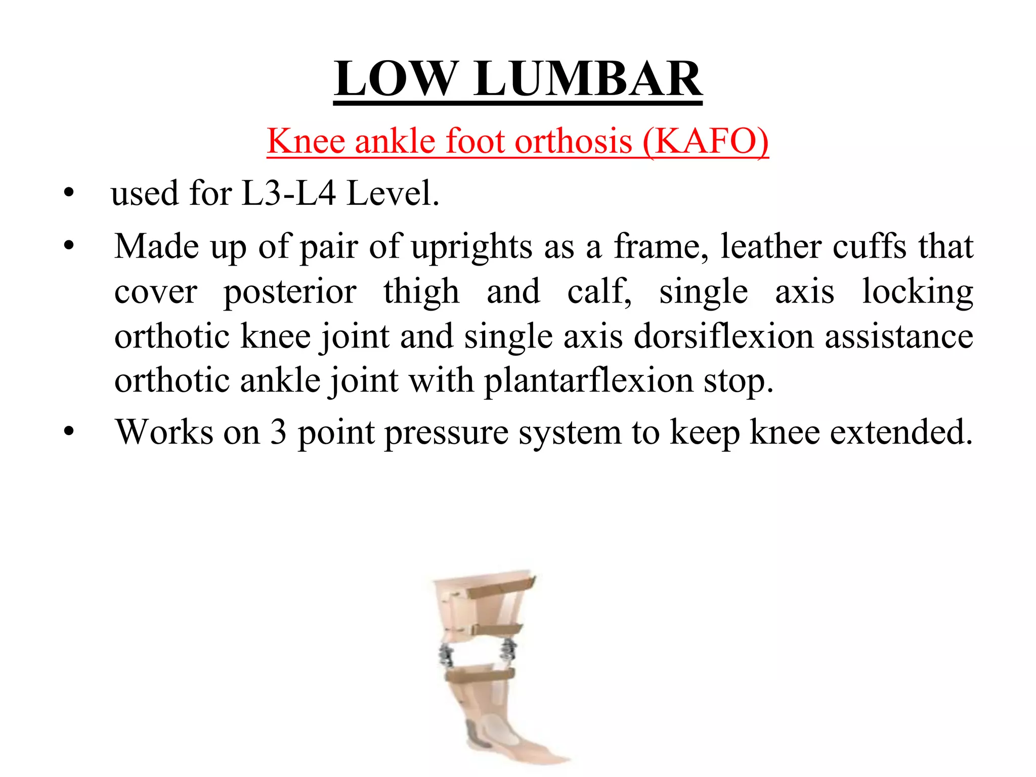 Spina bifida/ dysraphism - assessment and physiotherapy management | PPTX