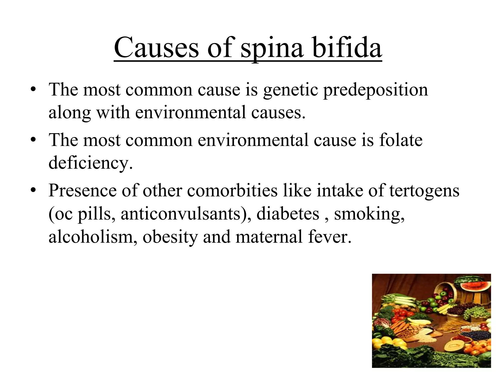 Spina bifida/ dysraphism - assessment and physiotherapy management | PPTX