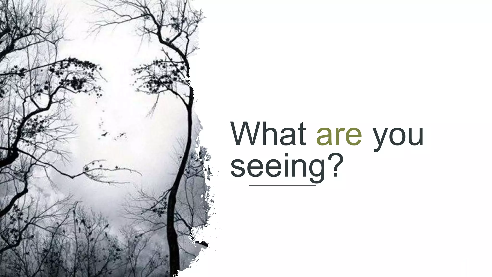 PPT Presentation on Perception | PPTX