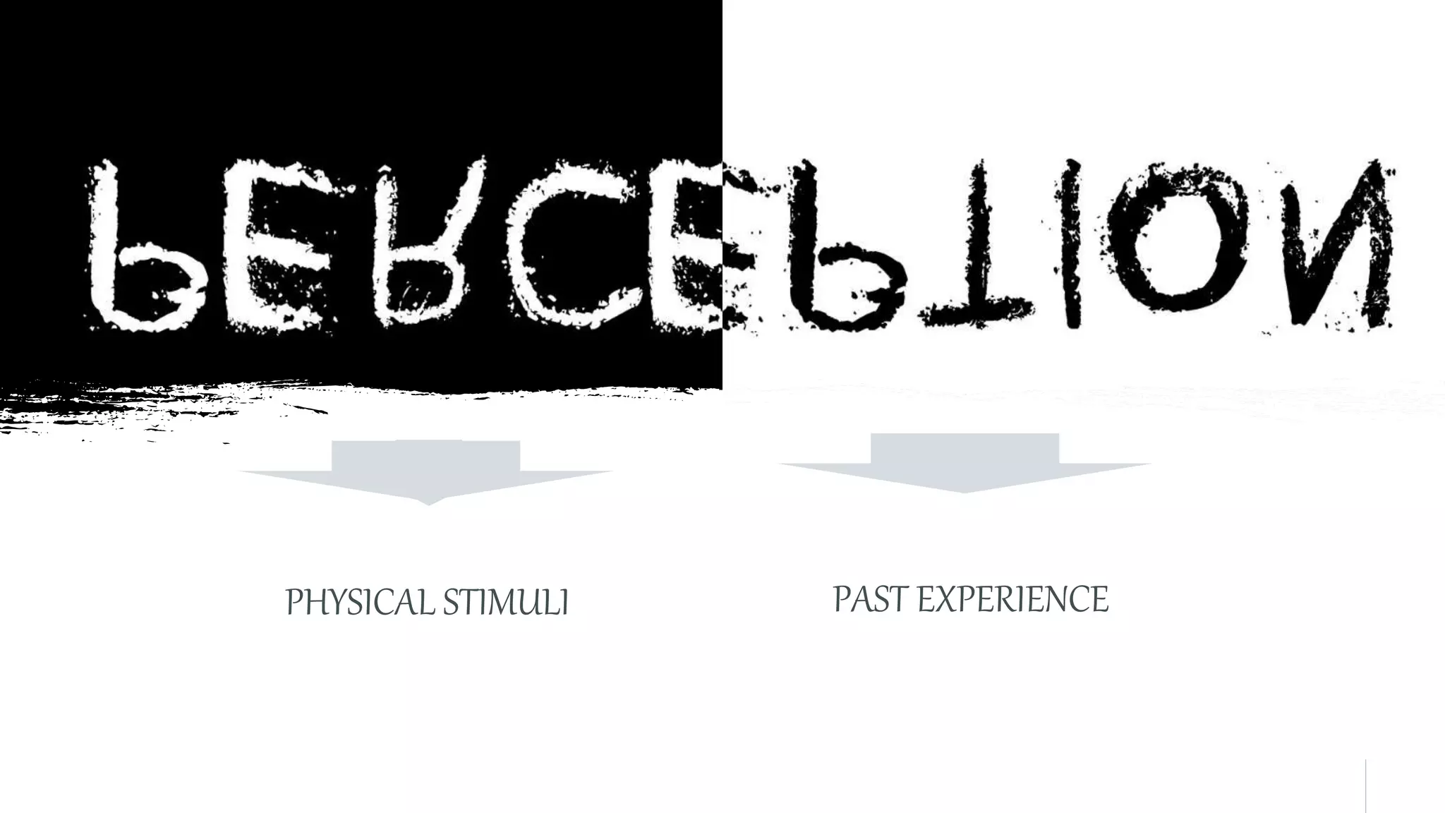 PPT Presentation on Perception | PPTX