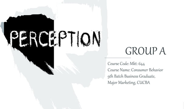 PPT Presentation on Perception | PPTX