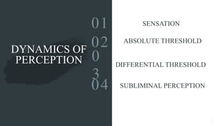 PPT Presentation on Perception | PPTX