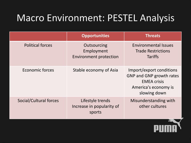 PUMA analysis | PPTX | Business | Business and Finance