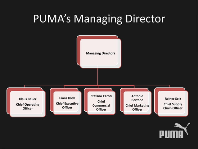 PUMA analysis | PPTX | Business | Business and Finance