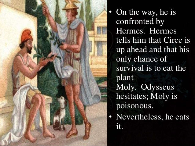 odyssey; the adventure of odysseus