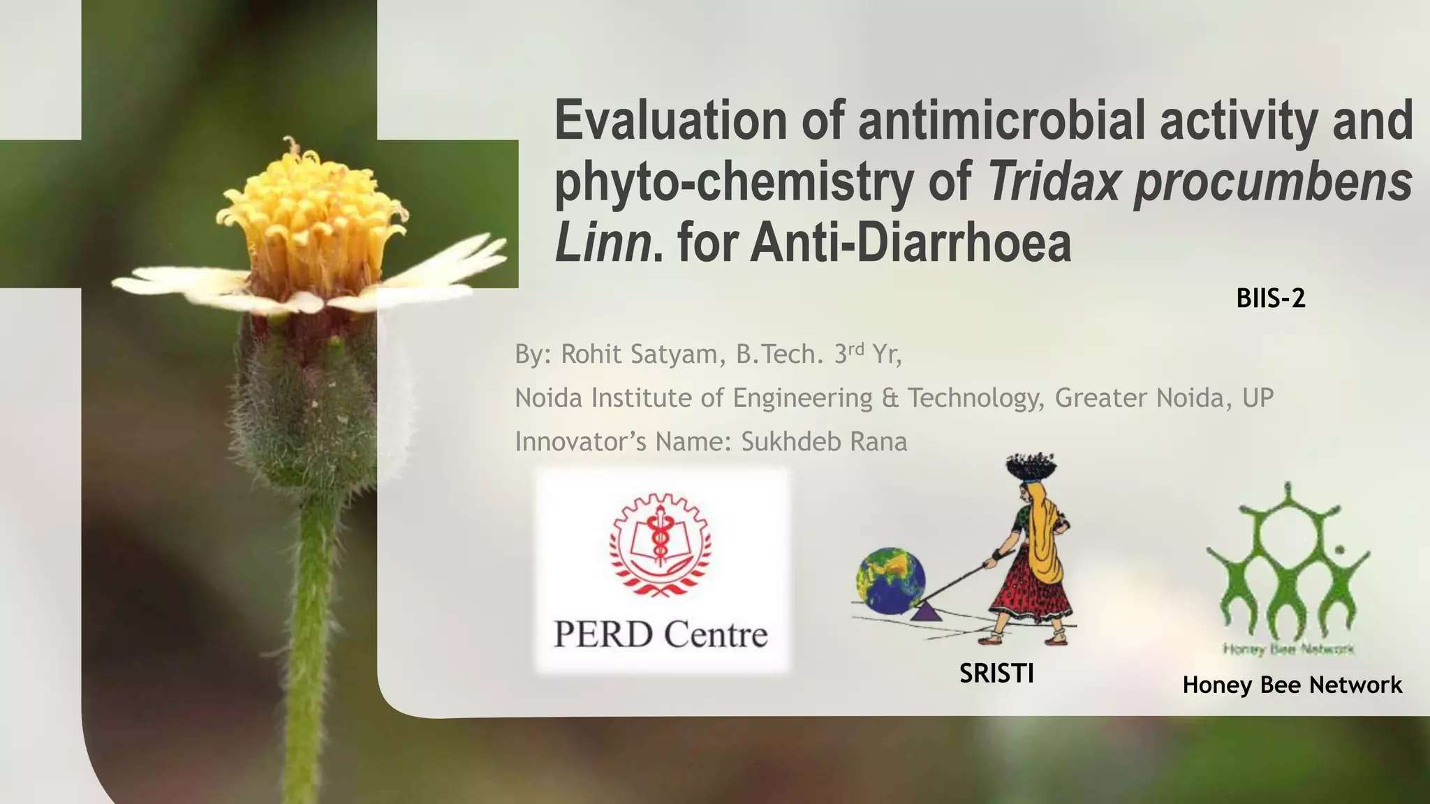 Tridax procumbens and its Antidiarrhoeal property | PPTX