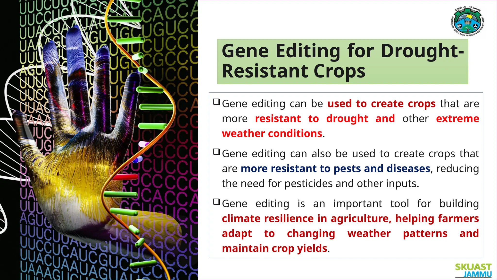 Final Strategies for climate resilient horticulture-.pptx