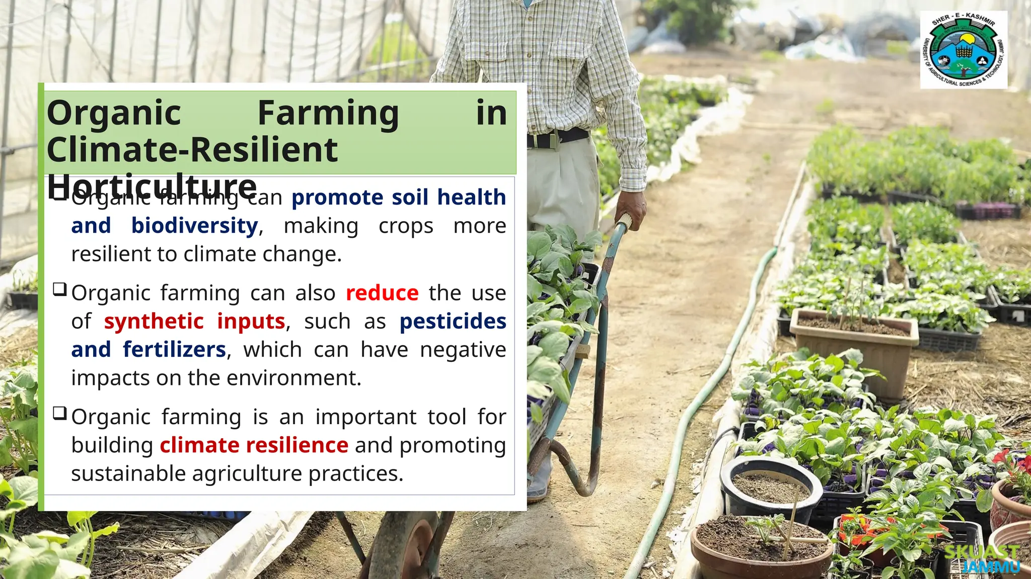 Final Strategies for climate resilient horticulture-.pptx
